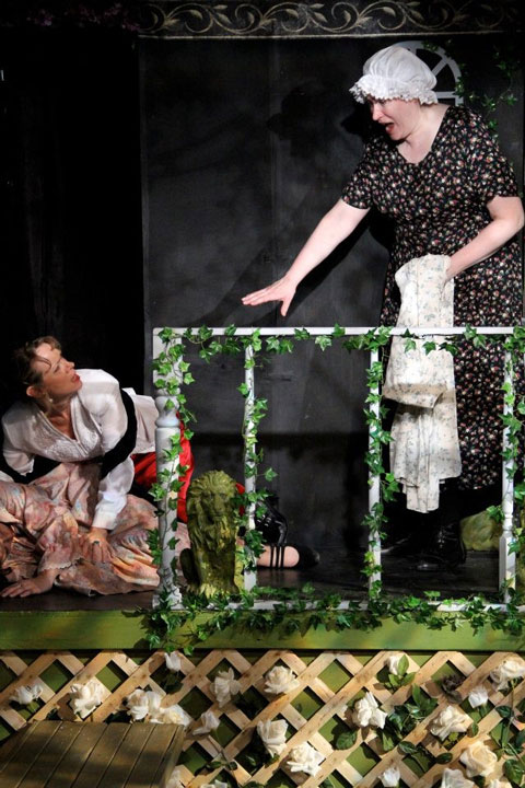 Deborah Ludwig: Photo Gallery